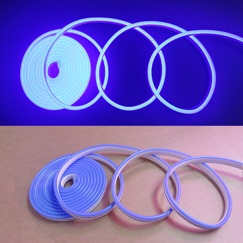 Waterproof Flexible LED Rope Light 12VDC Silica Gel LED Tube Light Blue ...