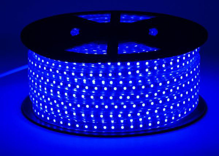 Blue Waterproof Led Light Strips High Voltage Input 4.4W Power Per Meter