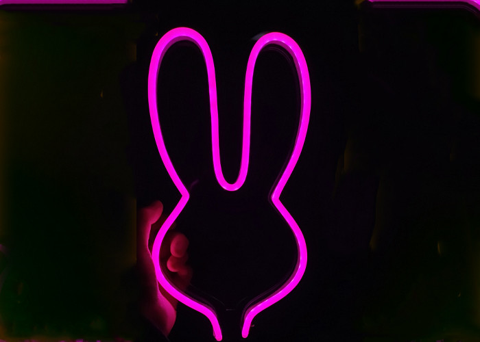 Pink Rabbit Neon Signs with stand & USB for Christmas gift For Child